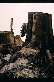 Robert Connell | Biography | Pollock Krasner Image Collection