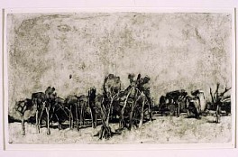 Barbara Brainard | Biography | Pollock Krasner Image Collection