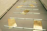 Duba Sambolec | Biography | Pollock Krasner Image Collection