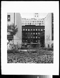 Anthony Mitri | Biography | Pollock Krasner Image Collection