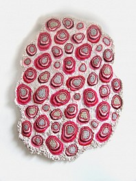 Emily Barletta | Biography | Pollock Krasner Image Collection