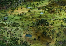 Amy Bennett | Biography | Pollock Krasner Image Collection